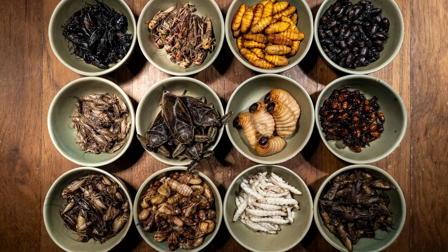 El Boom de los Insectos Comestibles en Tailandia - Megafinde Otaku